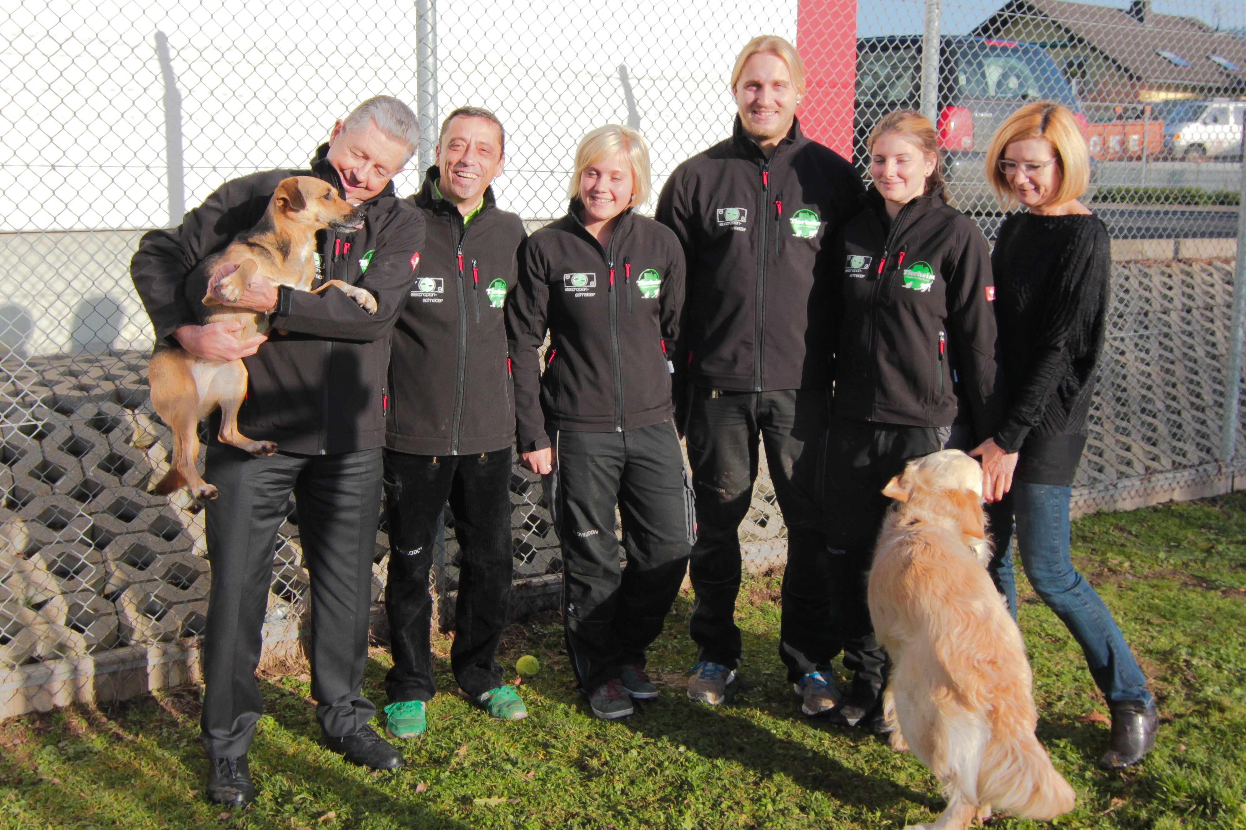 Neue „Erleuchtung“ macht das Arbeiten sicherer: | Tierheim Cappel Marburg